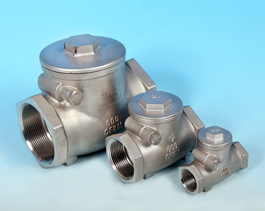 Check Valve Swing Pattern Stainless Steel Screwed ETG-CK1.